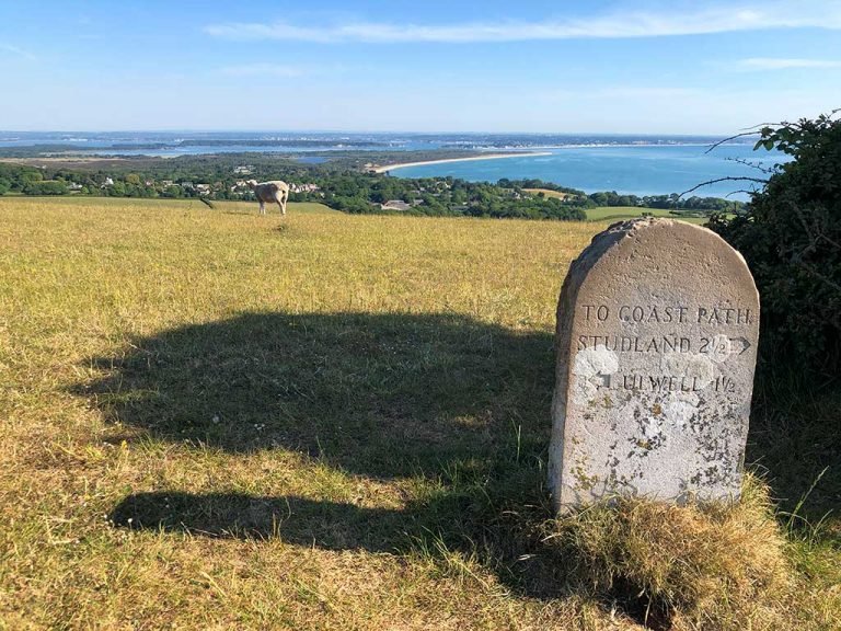 Studland to Old Harry Rocks Walk - Dorset Walks
