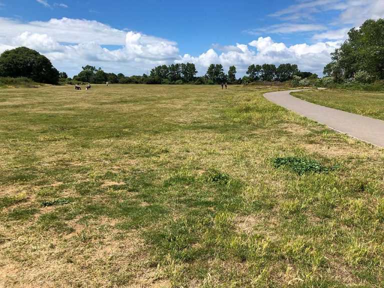 Stanpit Marsh Circular Walk - Christchurch - Dorset Walks