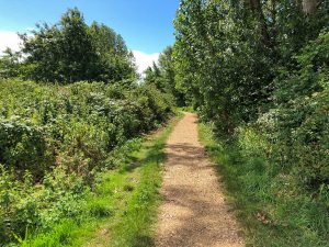 Stanpit Marsh Circular Walk - Christchurch - Dorset Walks