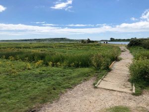 Stanpit Marsh Circular Walk - Christchurch - Dorset Walks