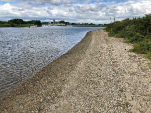 Stanpit Marsh Circular Walk - Christchurch - Dorset Walks