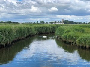Stanpit Marsh Circular Walk - Christchurch - Dorset Walks