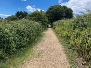 Stanpit Marsh Circular Walk - Christchurch - Dorset Walks