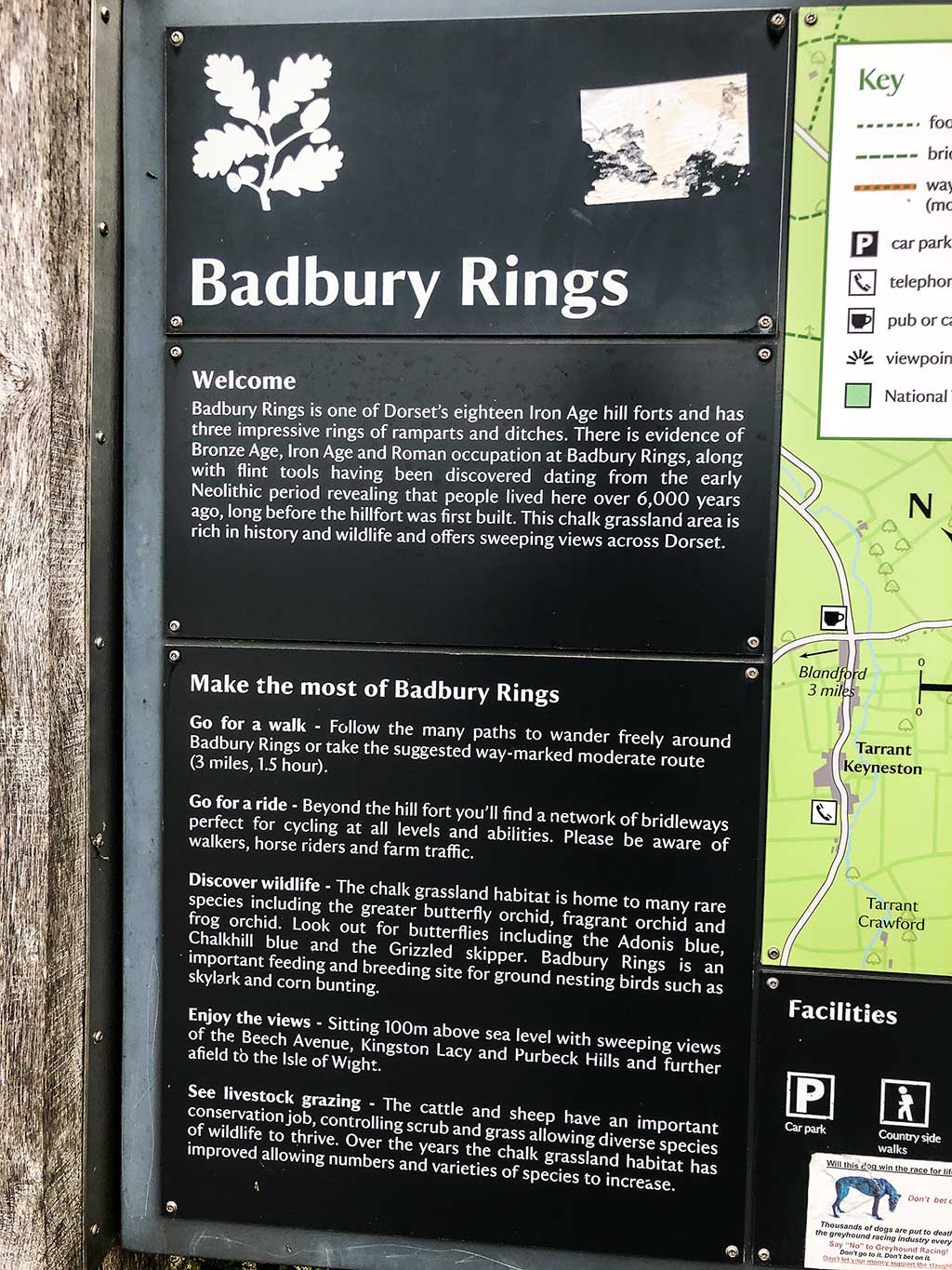 Badbury Rings Hill Fort - Dorset Walks