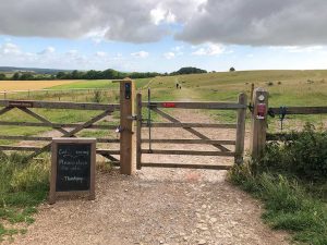 Badbury Rings Hill Fort - Dorset Walks