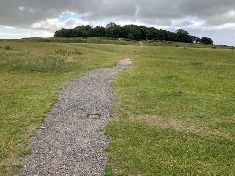 Badbury Rings Hill Fort - Dorset Walks