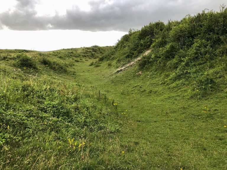 Badbury Rings Hill Fort - Dorset Walks