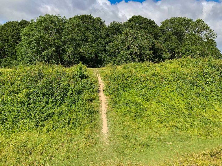 Badbury Rings Hill Fort - Dorset Walks