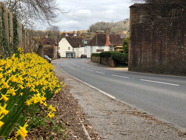 Cranborne Estate Walk - Dorset Walks