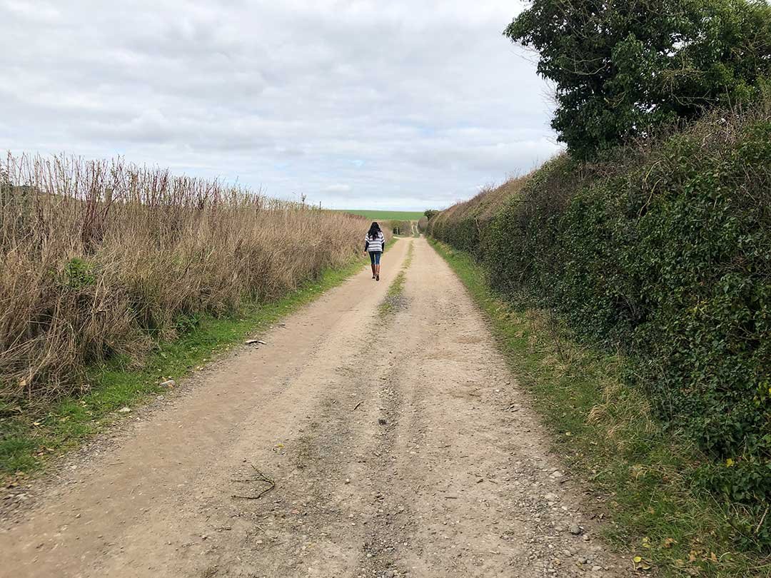 Cranborne Estate Walk - Dorset Walks
