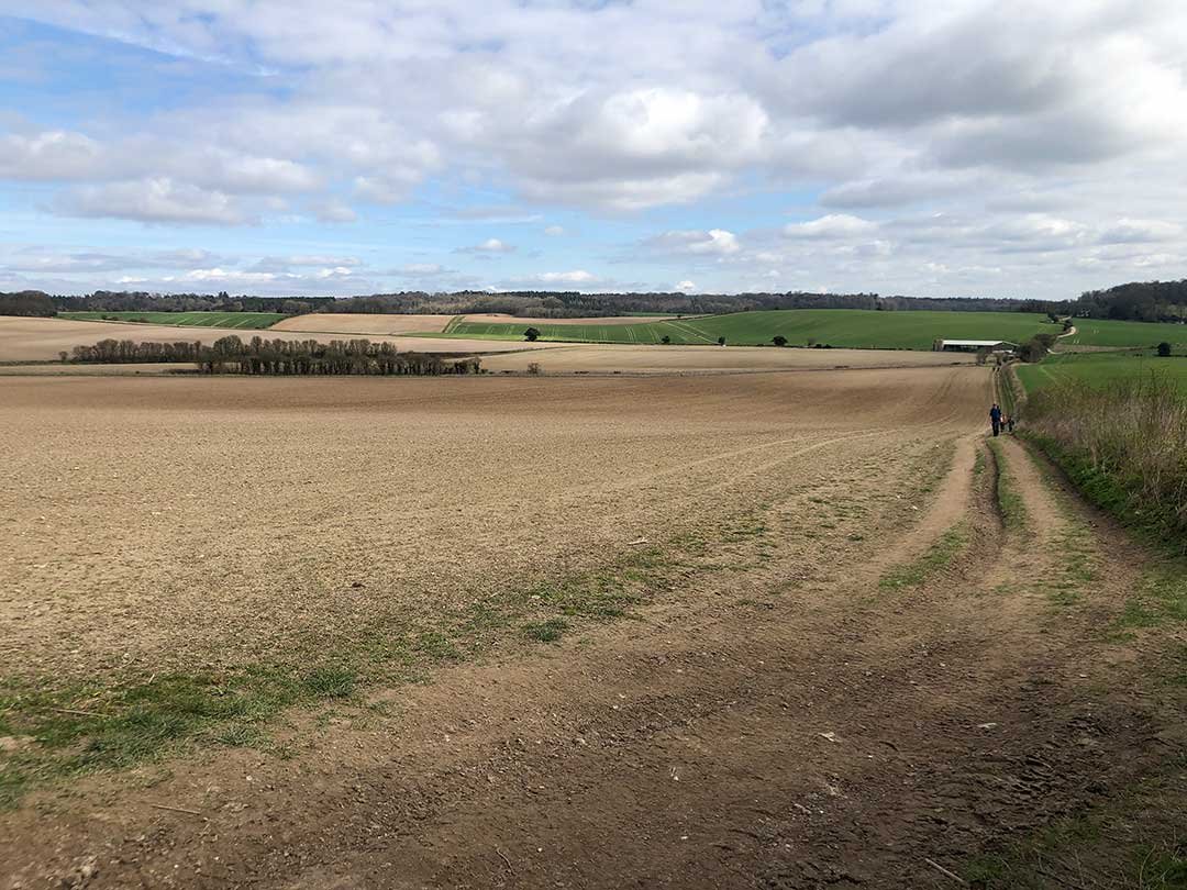 Cranborne Estate Walk - Dorset Walks