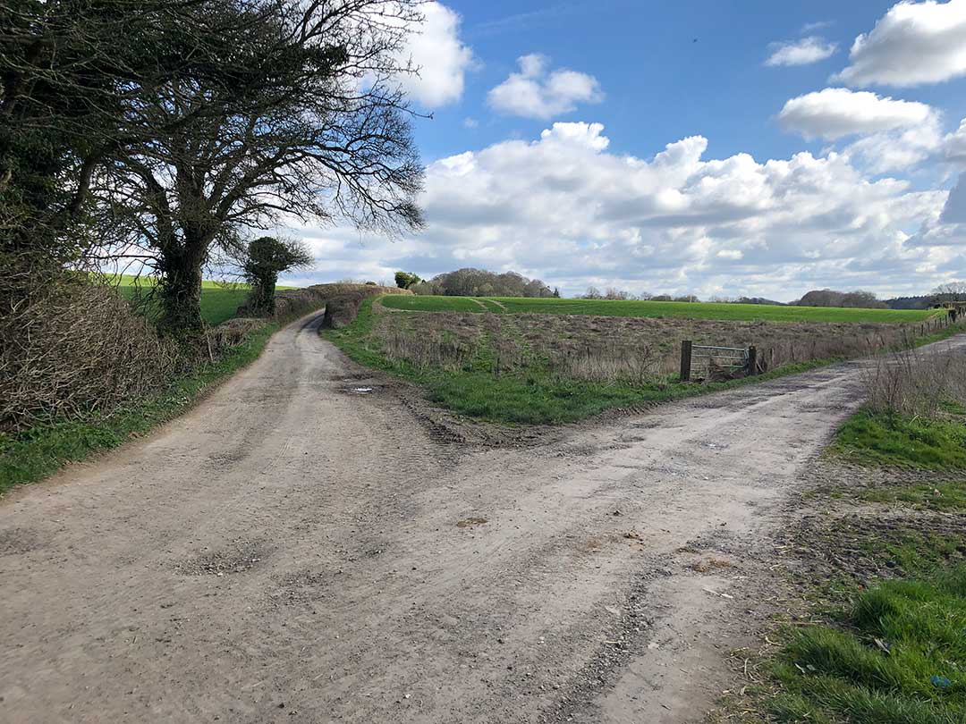 Cranborne Estate Walk - Dorset Walks