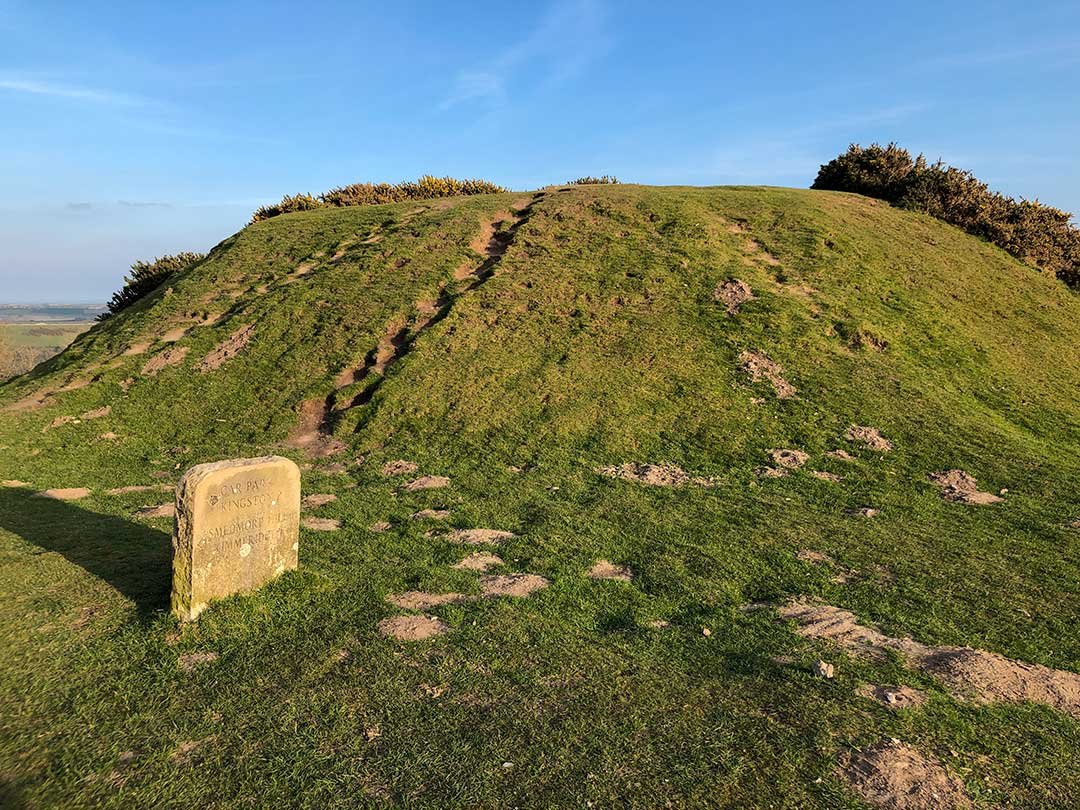 Swyre Head Walk (2 miles easy) - Purbeck - Dorset Walks