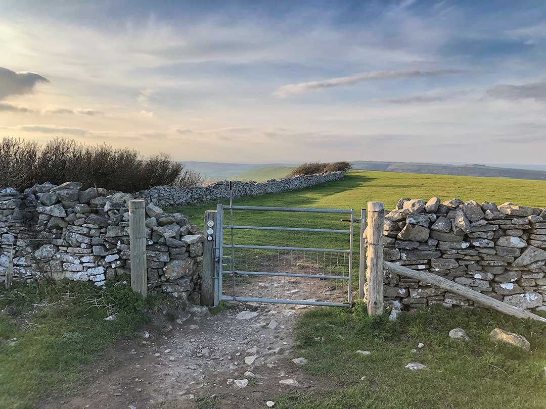 Swyre Head Walk (2 miles easy) - Purbeck - Dorset Walks