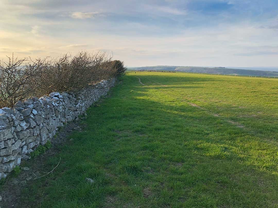Swyre Head Walk (2 miles easy) - Purbeck - Dorset Walks