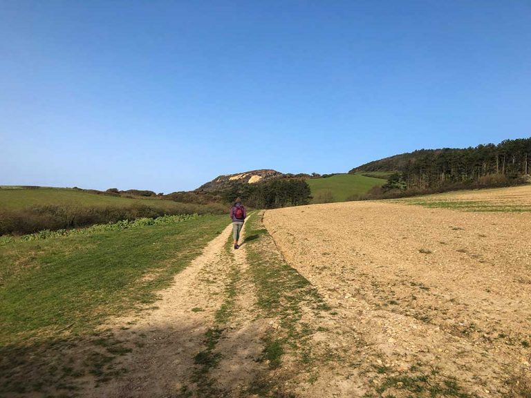 Seatown to Golden Cap and Langdon Hill Walk - Dorset Walks