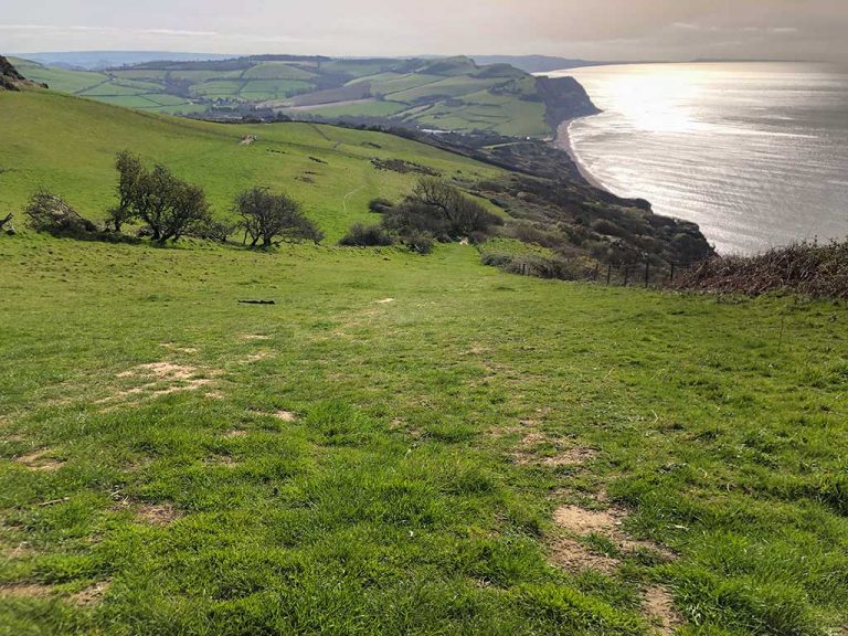 Seatown to Golden Cap and Langdon Hill Walk - Dorset Walks