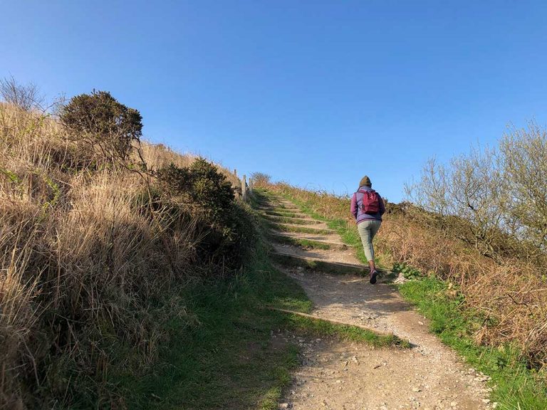 Seatown to Golden Cap and Langdon Hill Walk - Dorset Walks