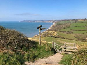 Seatown to Golden Cap and Langdon Hill Walk - Dorset Walks