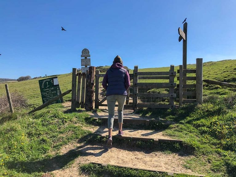 Seatown to Thorncombe Beacon Walk - Dorset Walks