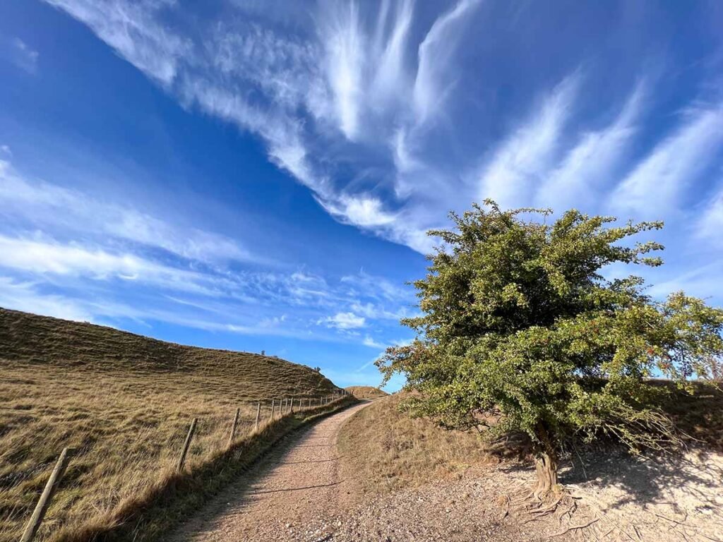Maiden Castle Walk - Dorset Walks