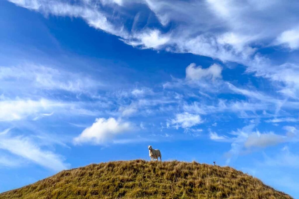 Maiden Castle Walk - Dorset Walks