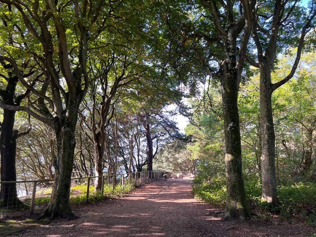Highcliffe to Mudeford Quay Walk | Dorset Walks