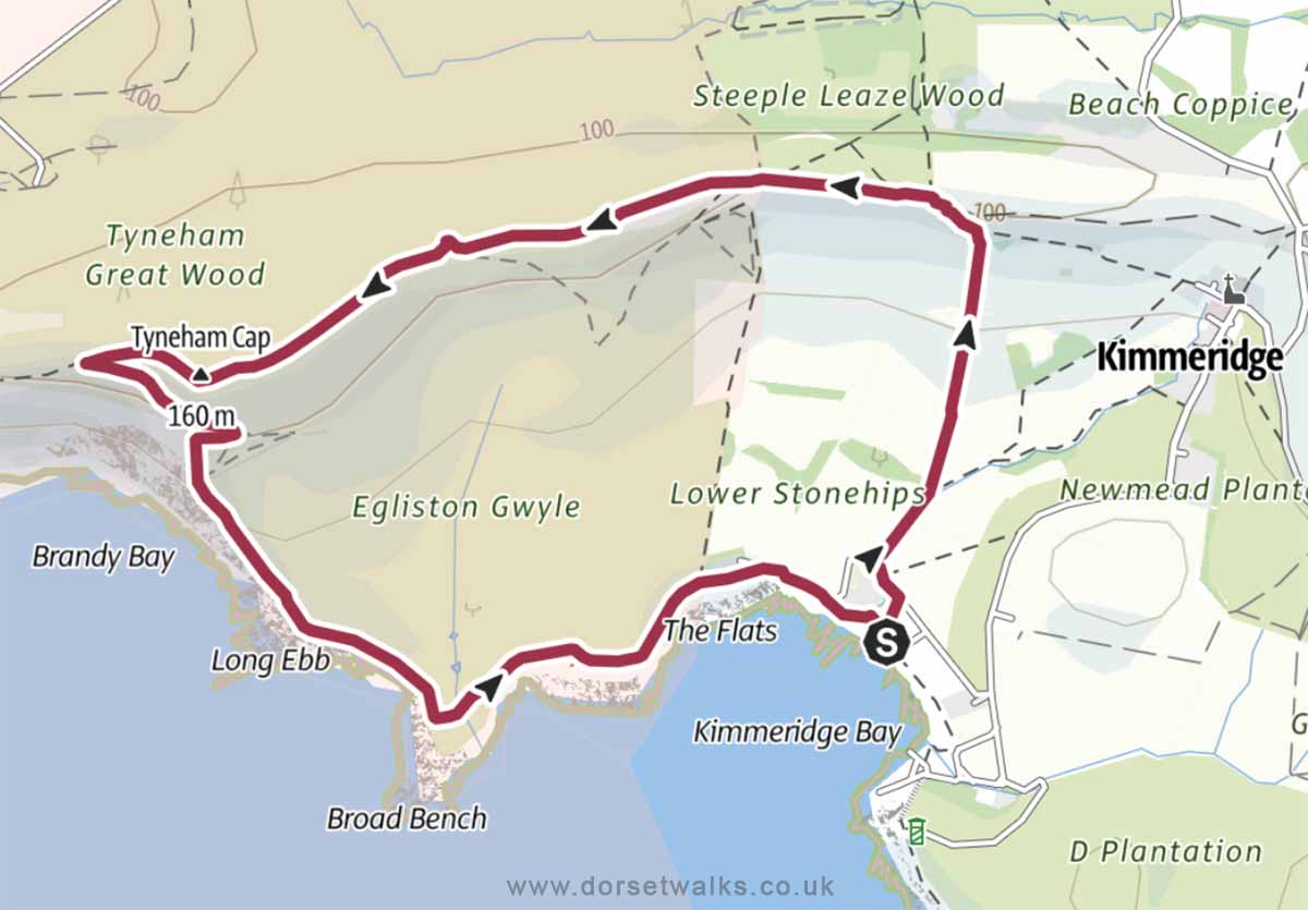 The Best Kimmeridge Walks - Dorset Walks