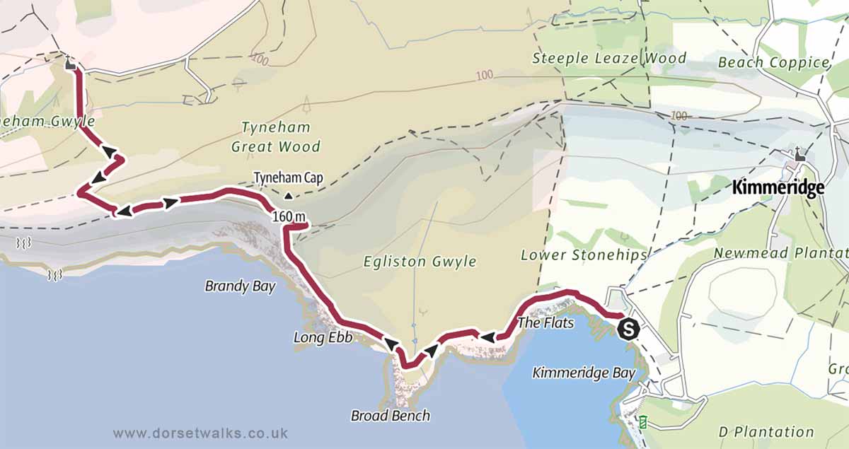 The Best Kimmeridge Walks - Dorset Walks