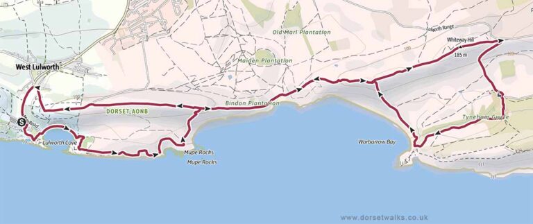 The Best Lulworth Cove Walks