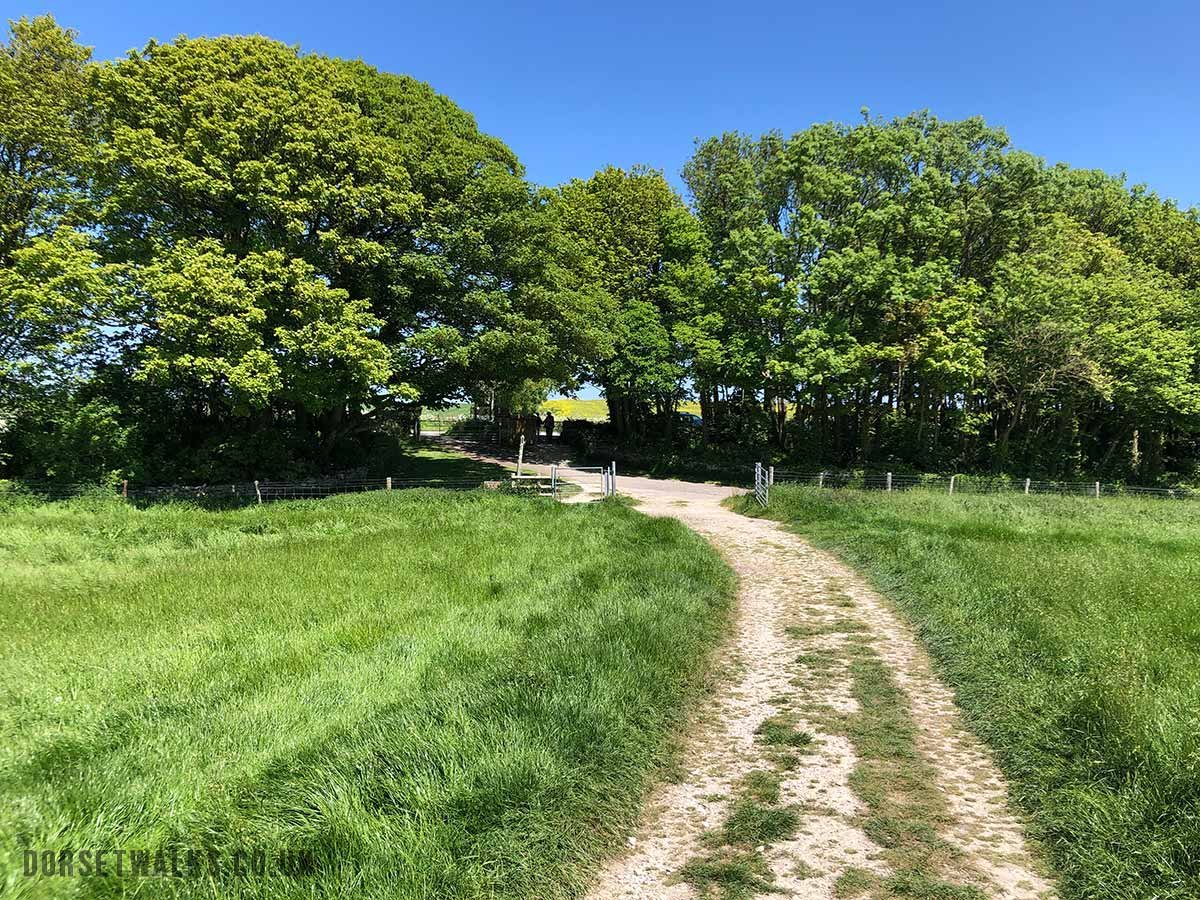 Corfe Castle to Kimmeridge and Kingston Walk 9.6 miles