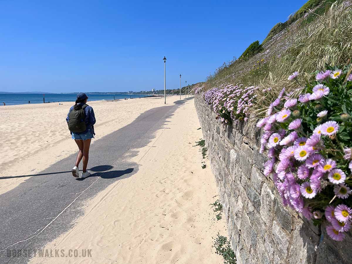 Mudeford Sandbank to Bournemouth Pier Walk 7 miles one-way